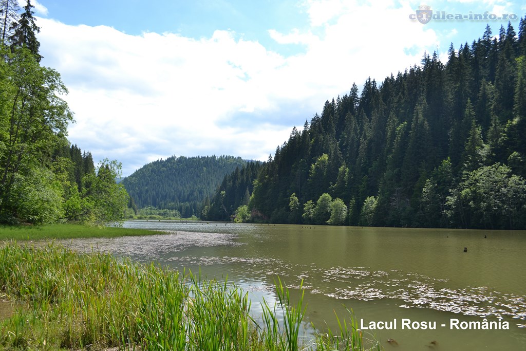 Să redescoperim România! - Nordul Moldovei și Bucovina | Codlea Info