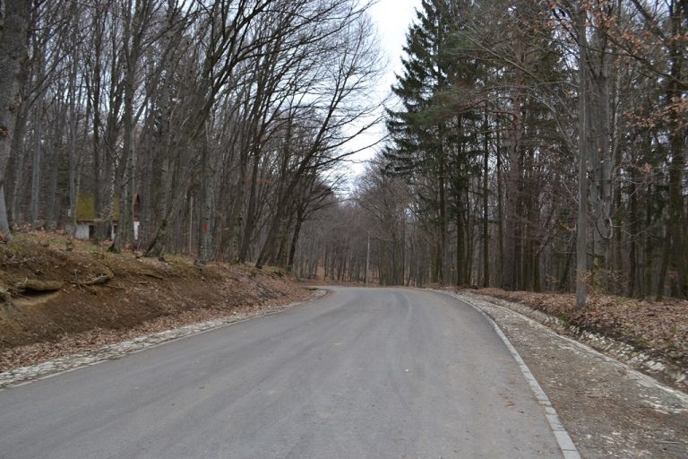 Complexul Ștrand Codlea ar putea deveni zonă turistică de interes ...