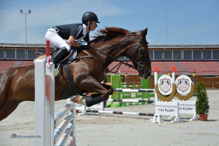 Fiecare călăreț și cal ascund o poveste - Concursul Național de ...